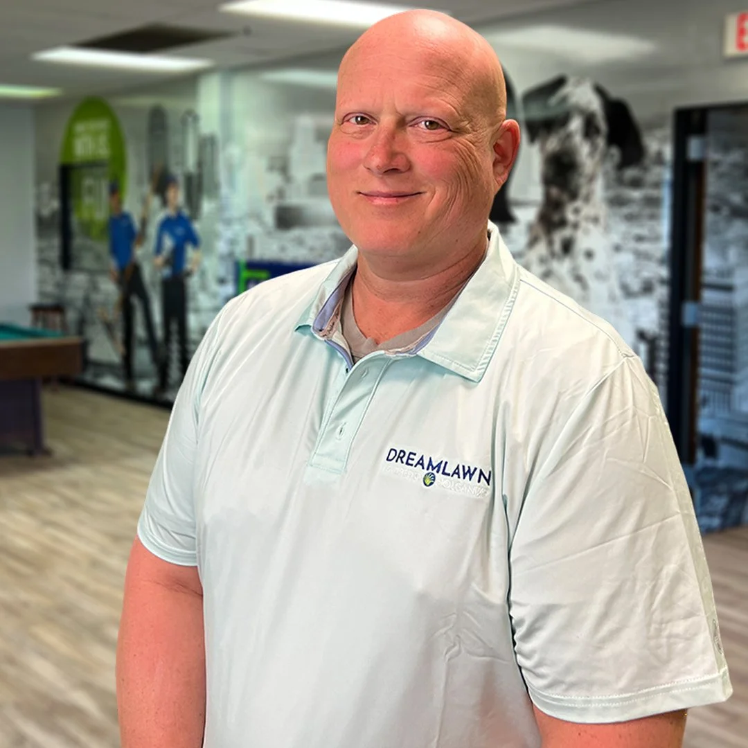 DreamLawn — We Are Southwind