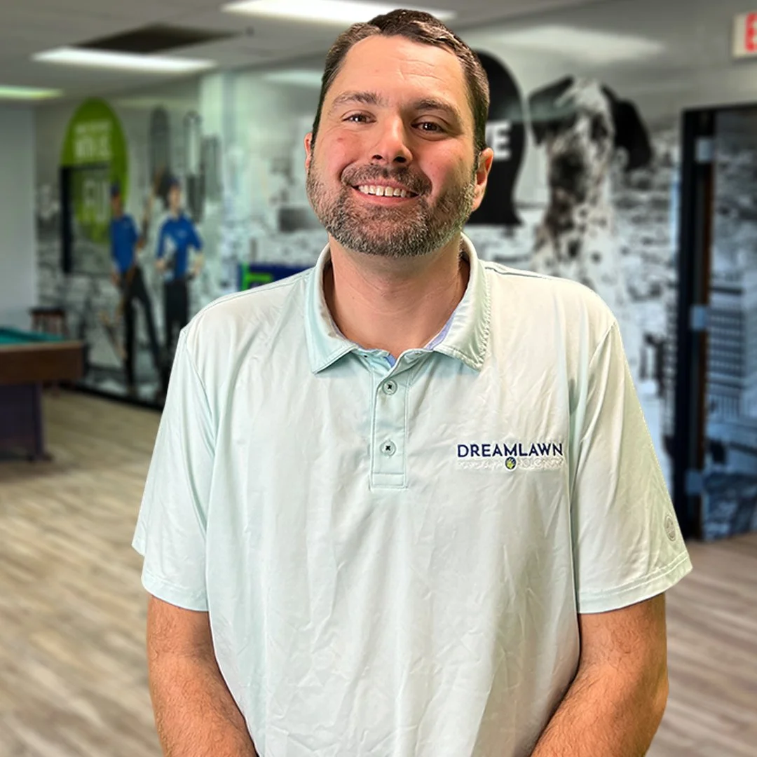 DreamLawn New — We Are Southwind