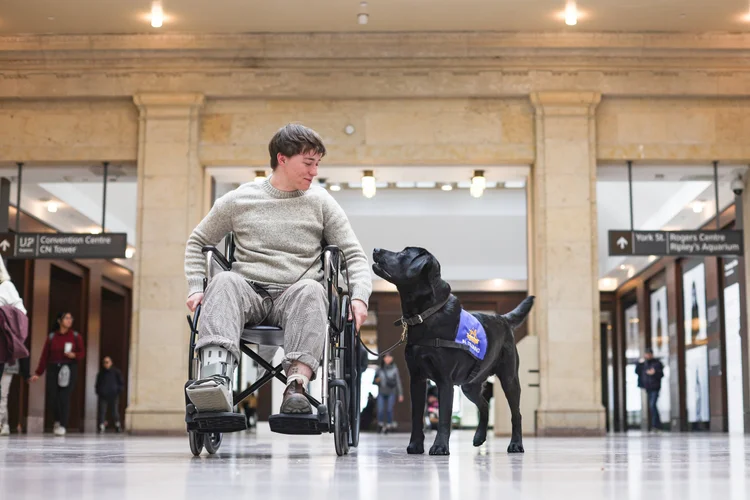 Alliance Service Dogs | Service Dog Training in Toronto