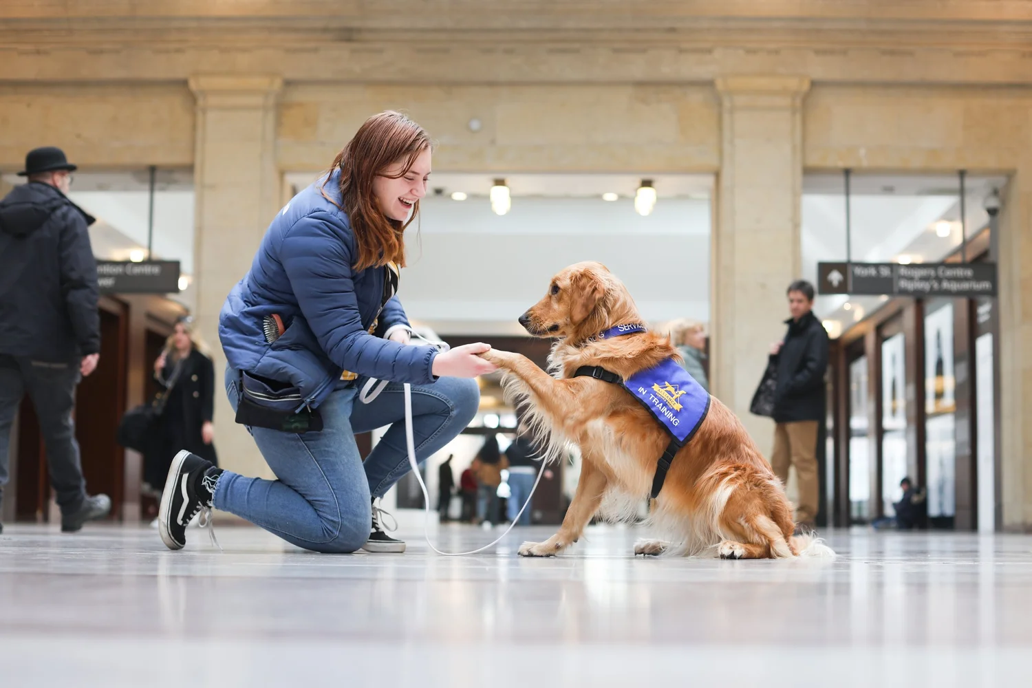 Alliance Service Dogs | Service Dog Training in Toronto