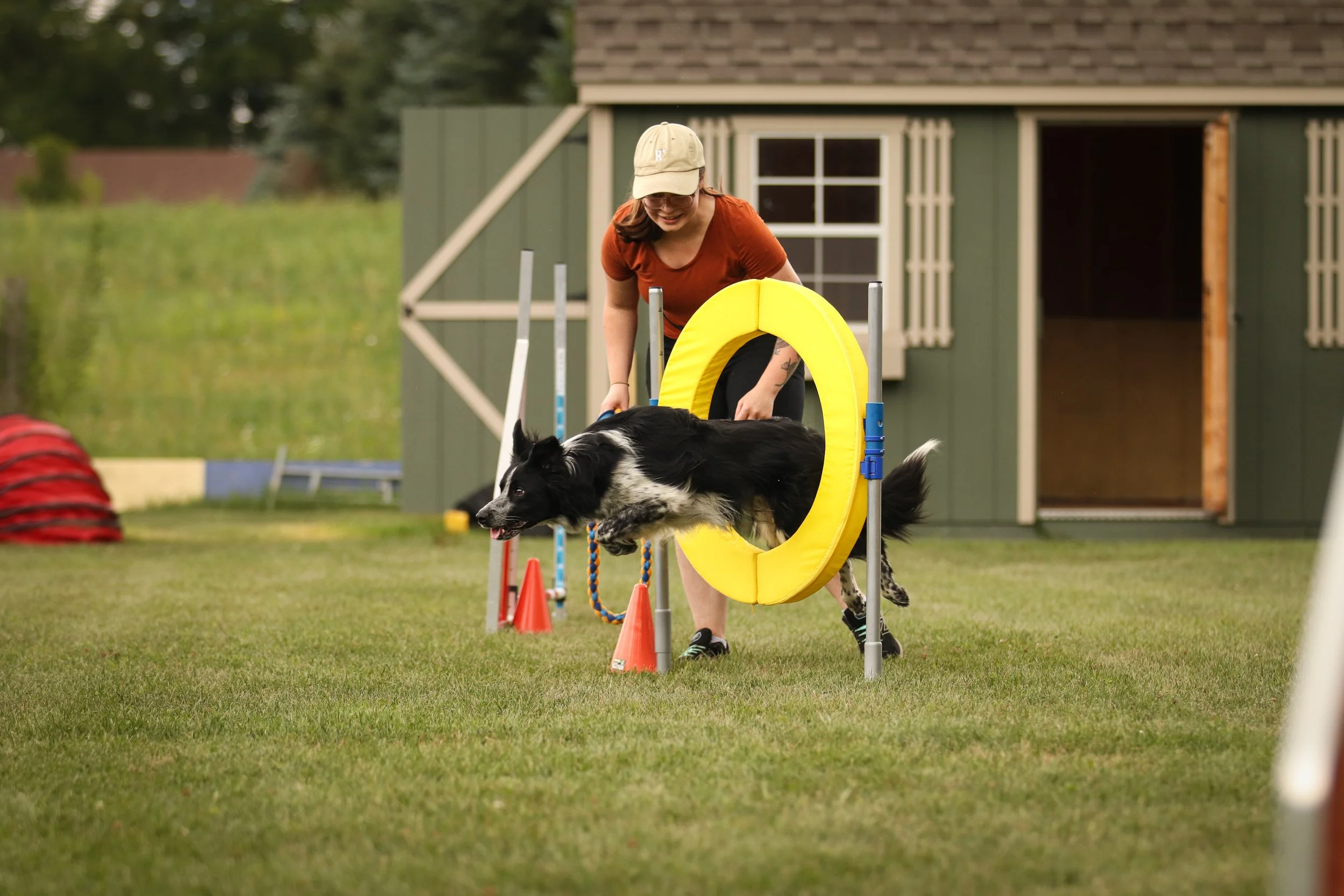 Certified Service Dog Trainer in Toronto, Ontario | Alliance Service Dogs — Alliance Service Dogs