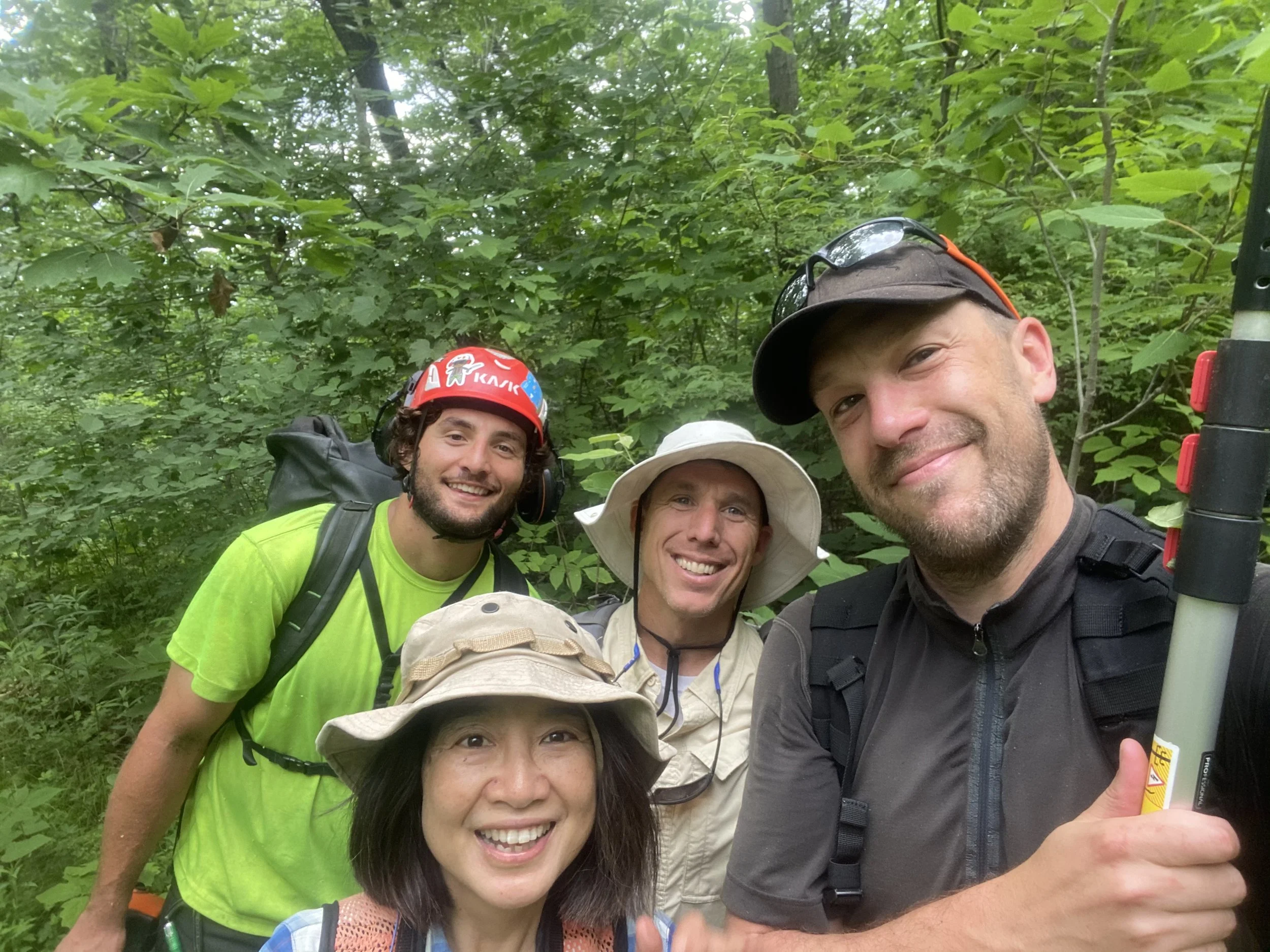 Tree House Arbor Science Arborist Joins WI DNR Oak Wilt Study
