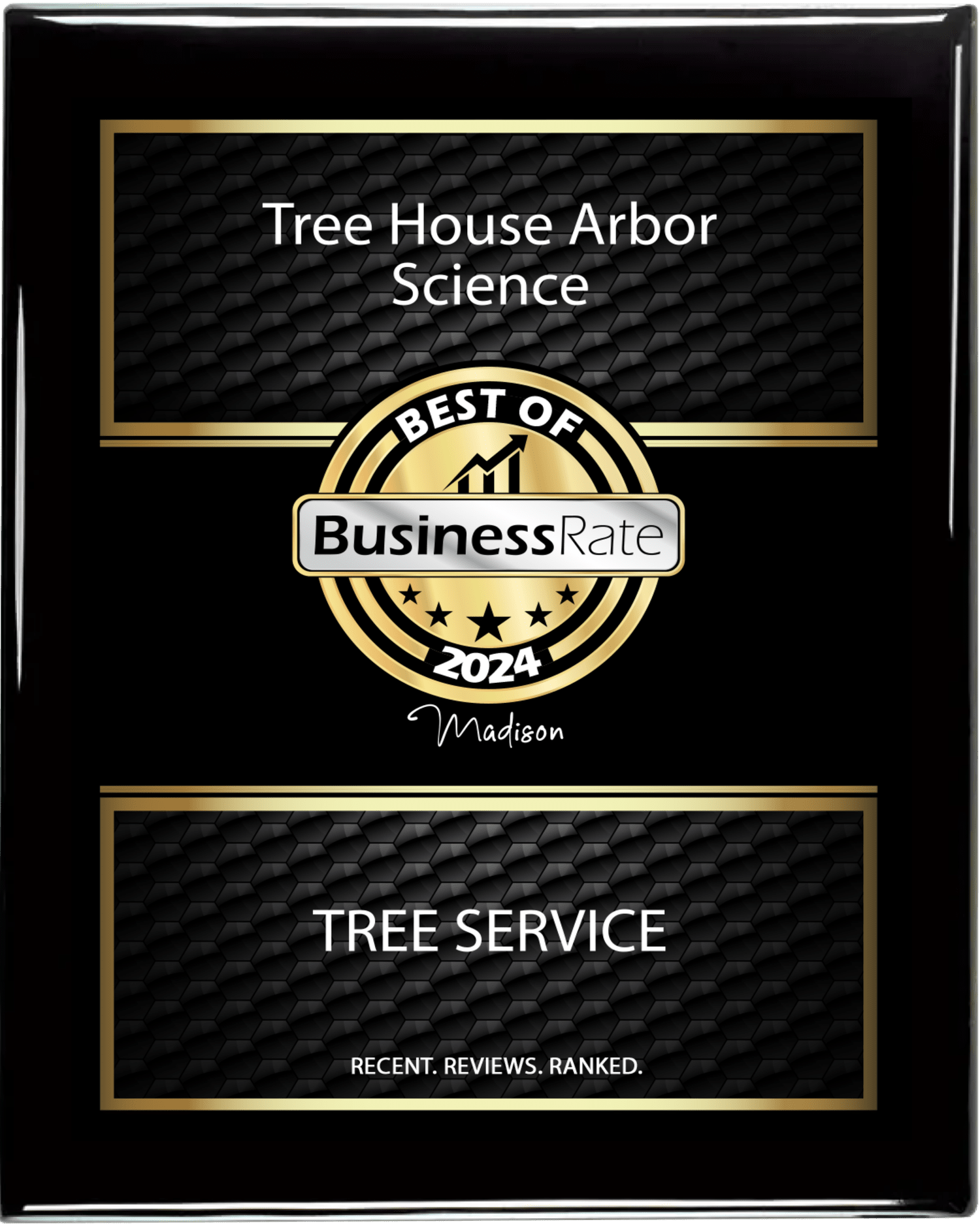 Wisconsin Trees: Cottonwood | Tree House Arbor Science