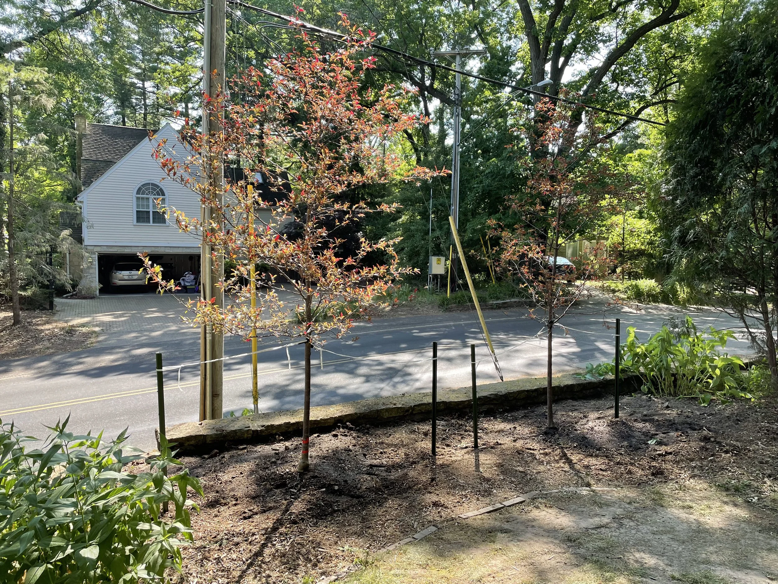 Tree House Arbor Science - Expert Tree Care Madison, WI