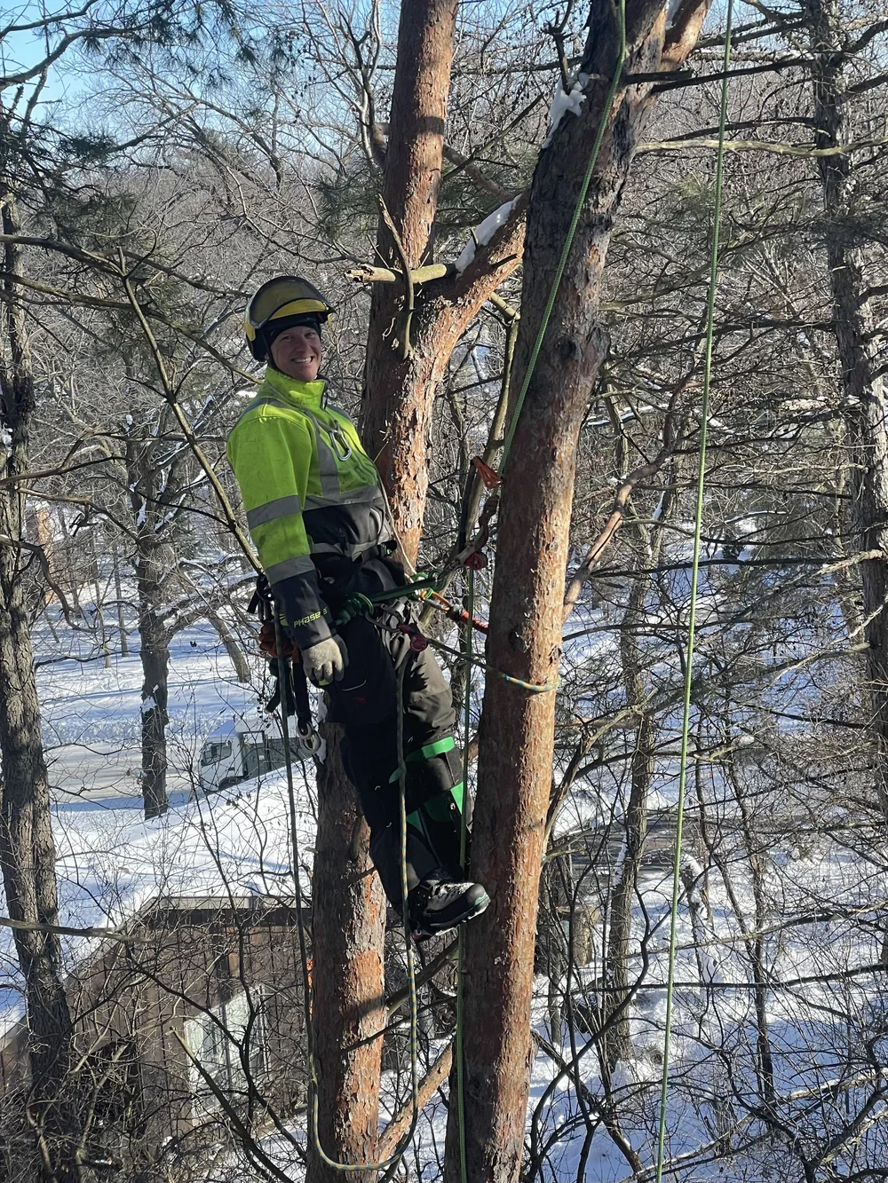 Tree Service Experts Madison WI | Tree House Arbor Science