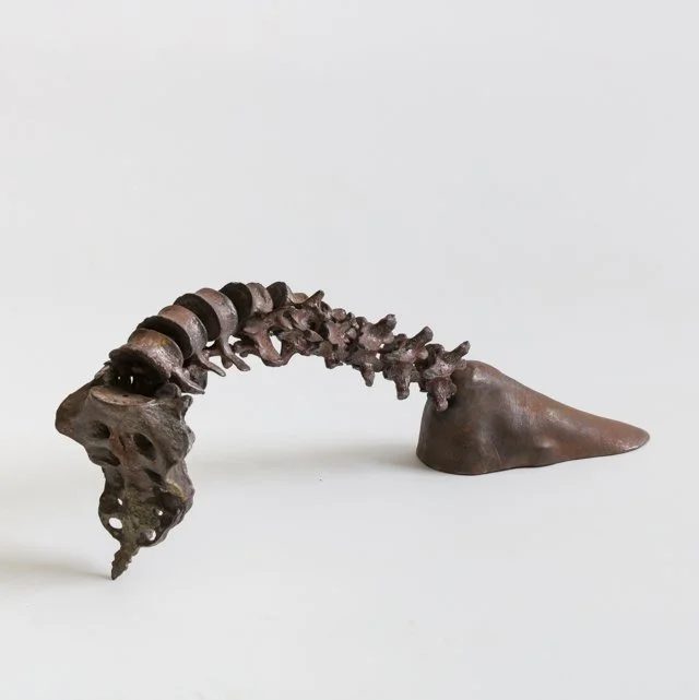 dora smék — central galeria