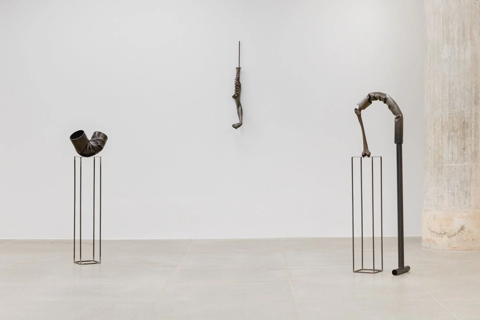 dora smék — central galeria