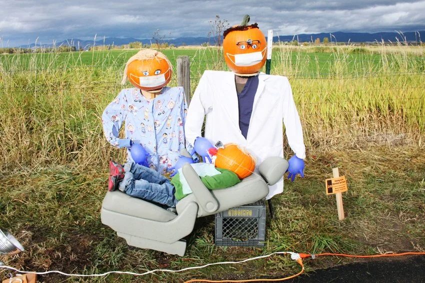 Scarecrow 2016 — Stevensville Scarecrow Festival