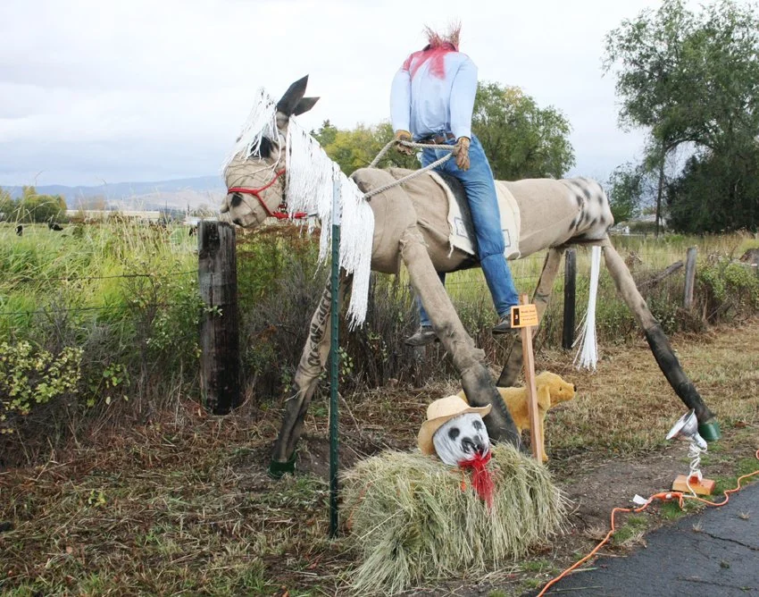 Scarecrow 2016 — Stevensville Scarecrow Festival