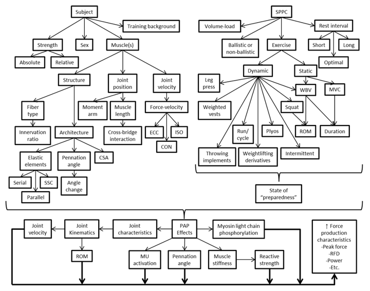 Deterministic Models of Performance — TP Training & Performance