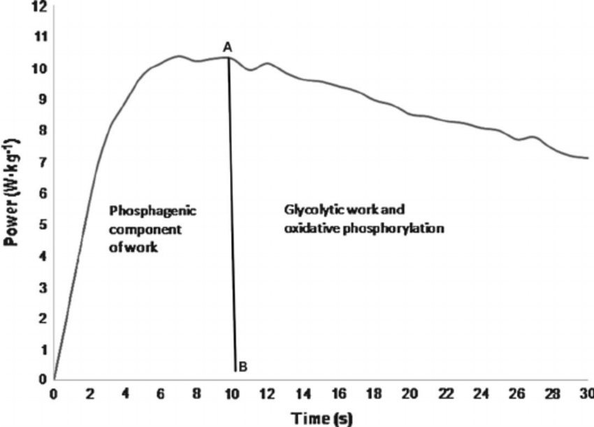 Wingate test: power and fatigue — TP Training & Performance