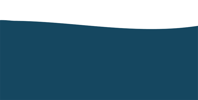 Fresh Coromandel Greenlip Mussels — Coromandel Oyster Company