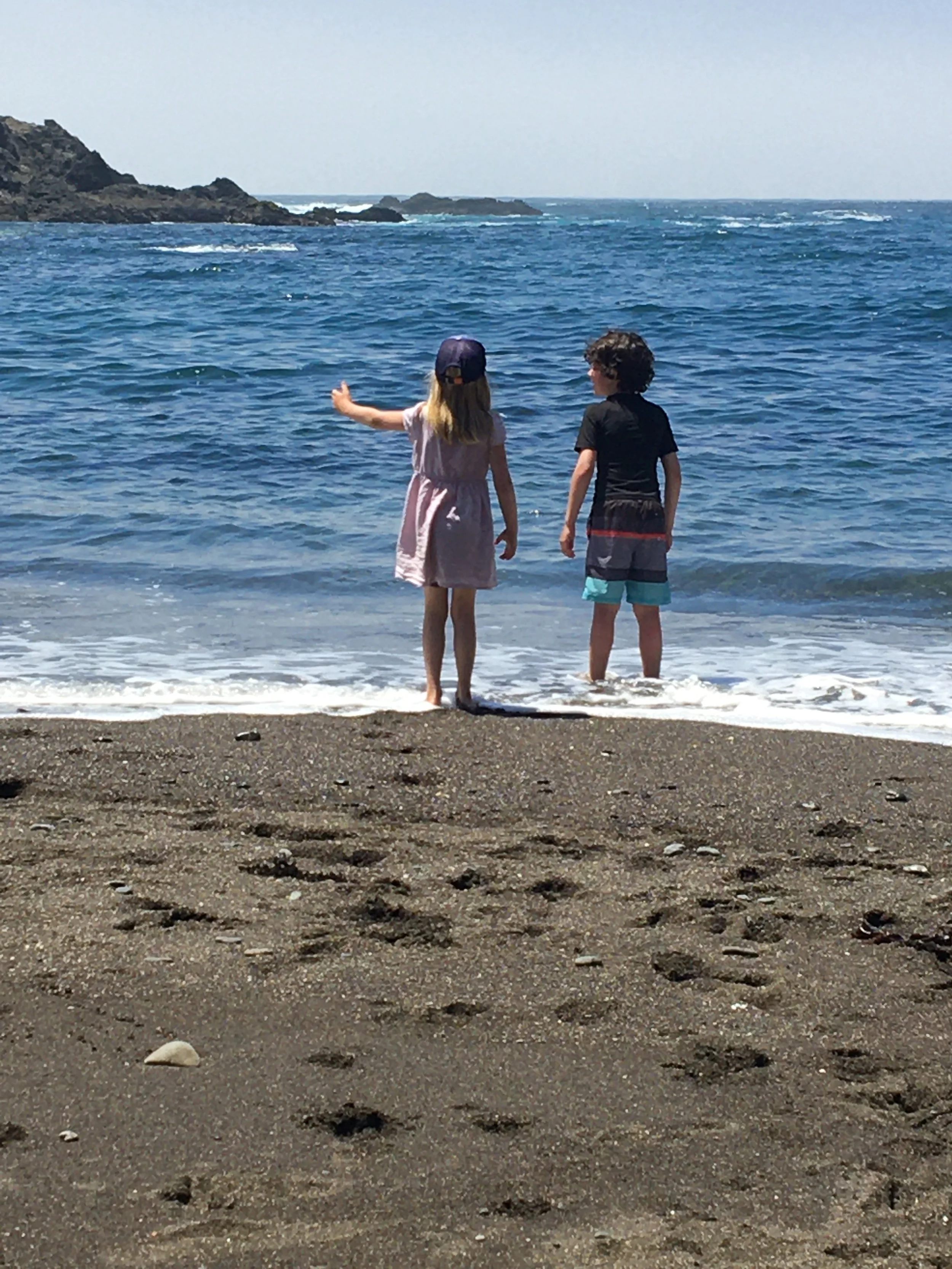Our Vision — Noyo Center for Marine Science