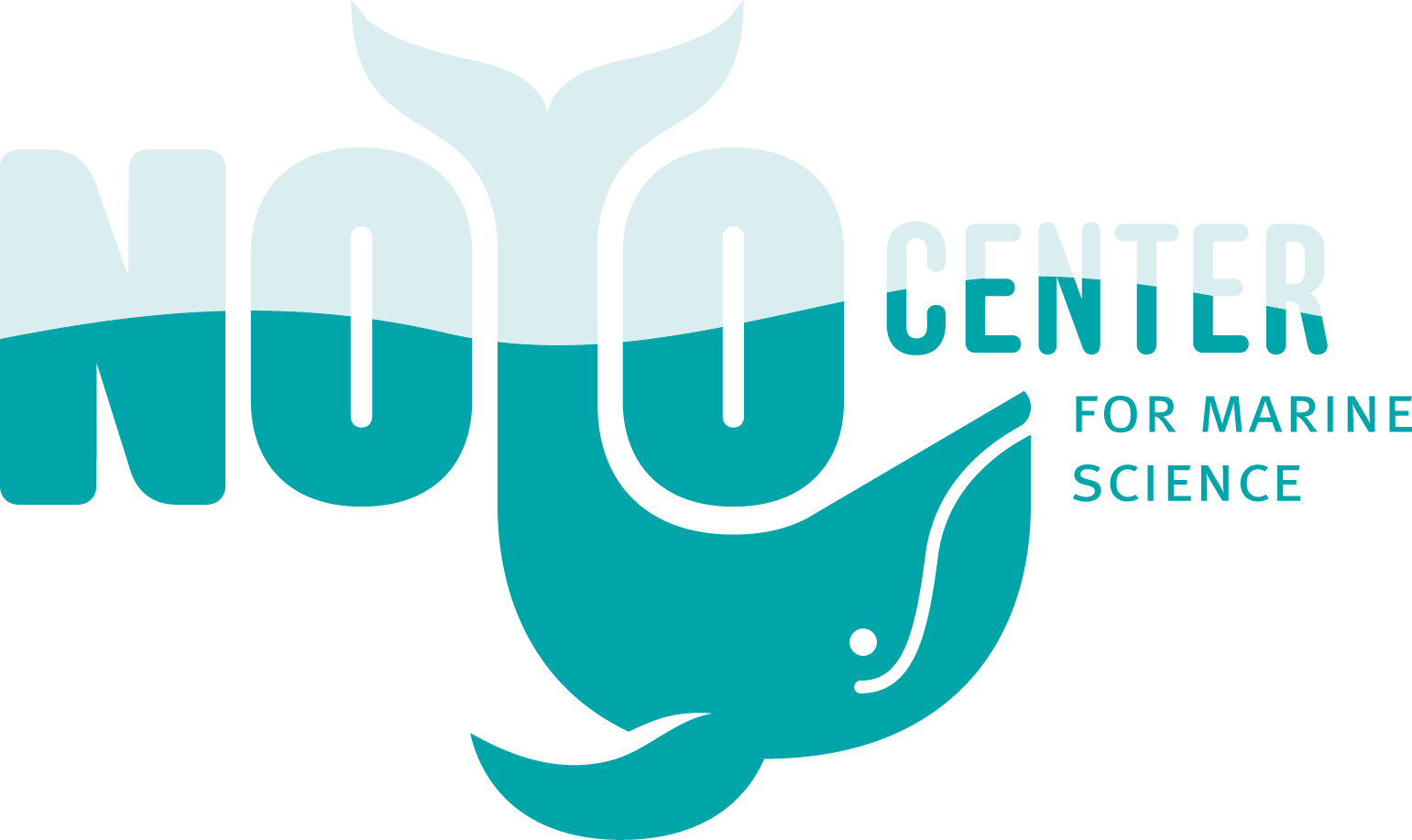 Live Harbor Cam — Noyo Center for Marine Science