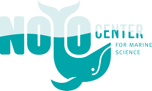 Live Feeds — Noyo Center for Marine Science