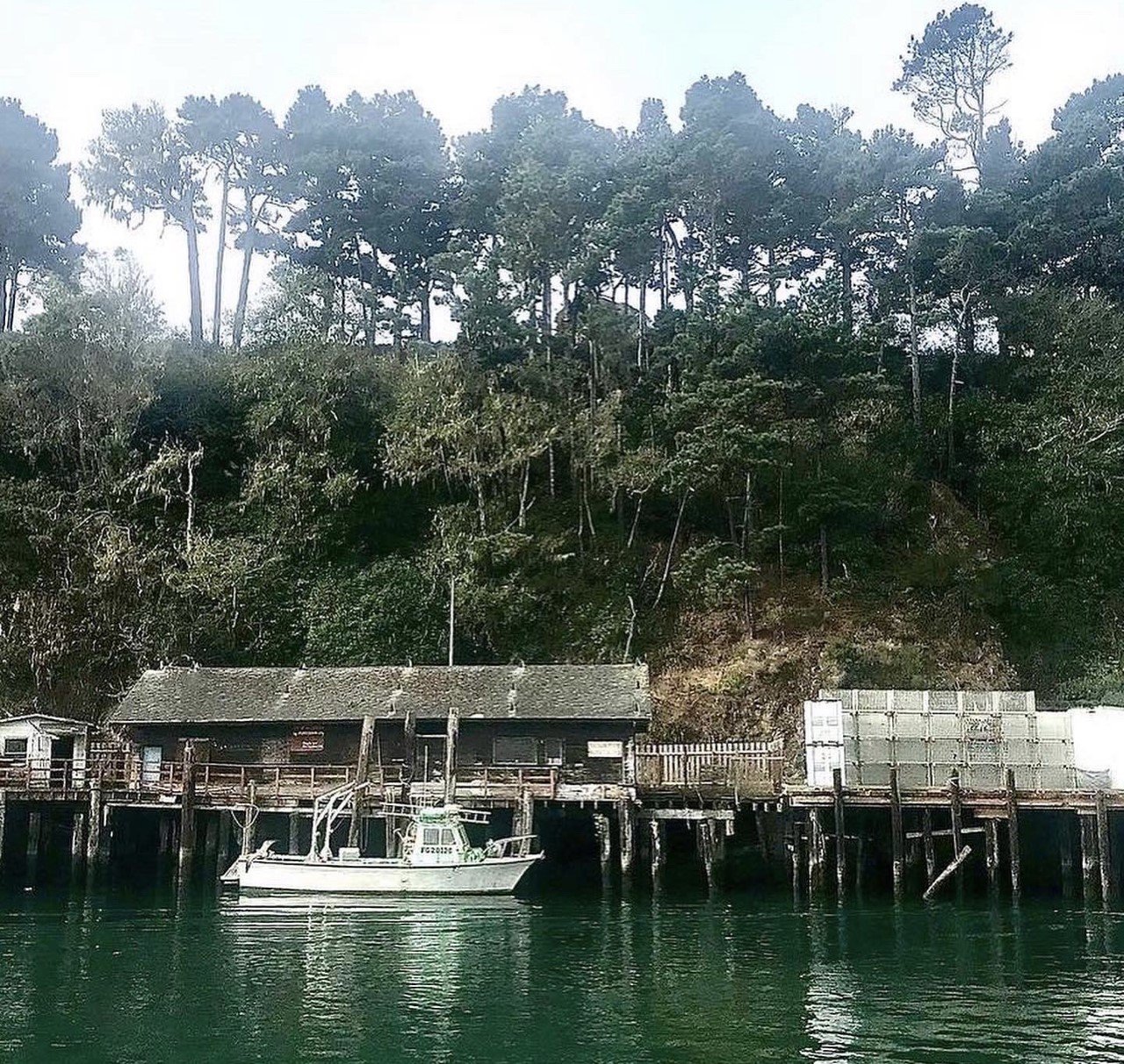 Live Feeds — Noyo Center for Marine Science