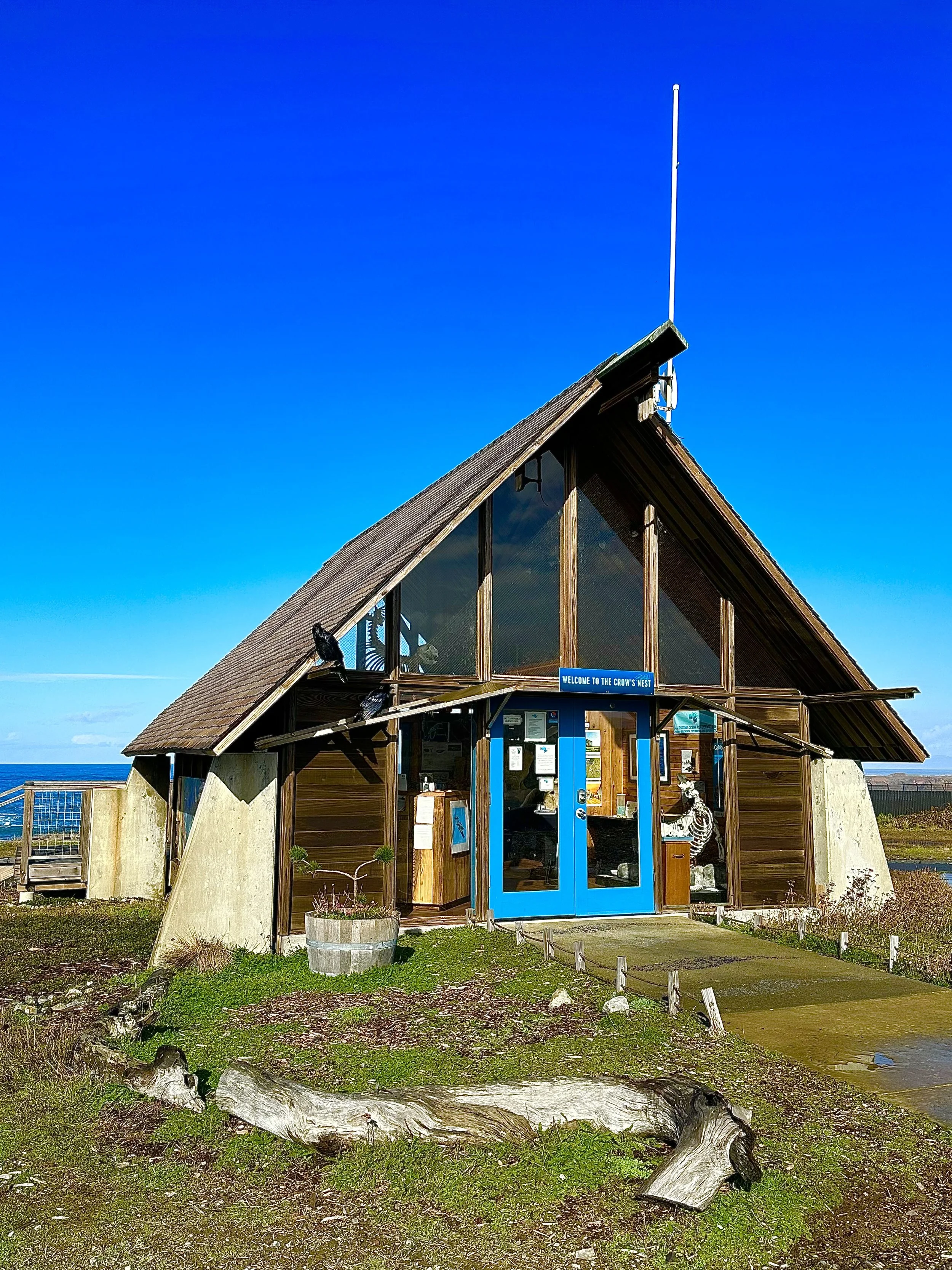 Live Feeds — Noyo Center for Marine Science