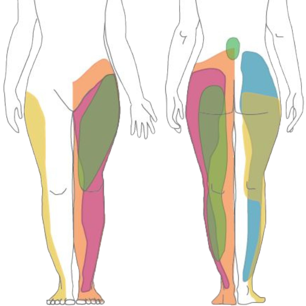 Pain Pie | Discover Pain Solutions Today — Dr. Dan Bates