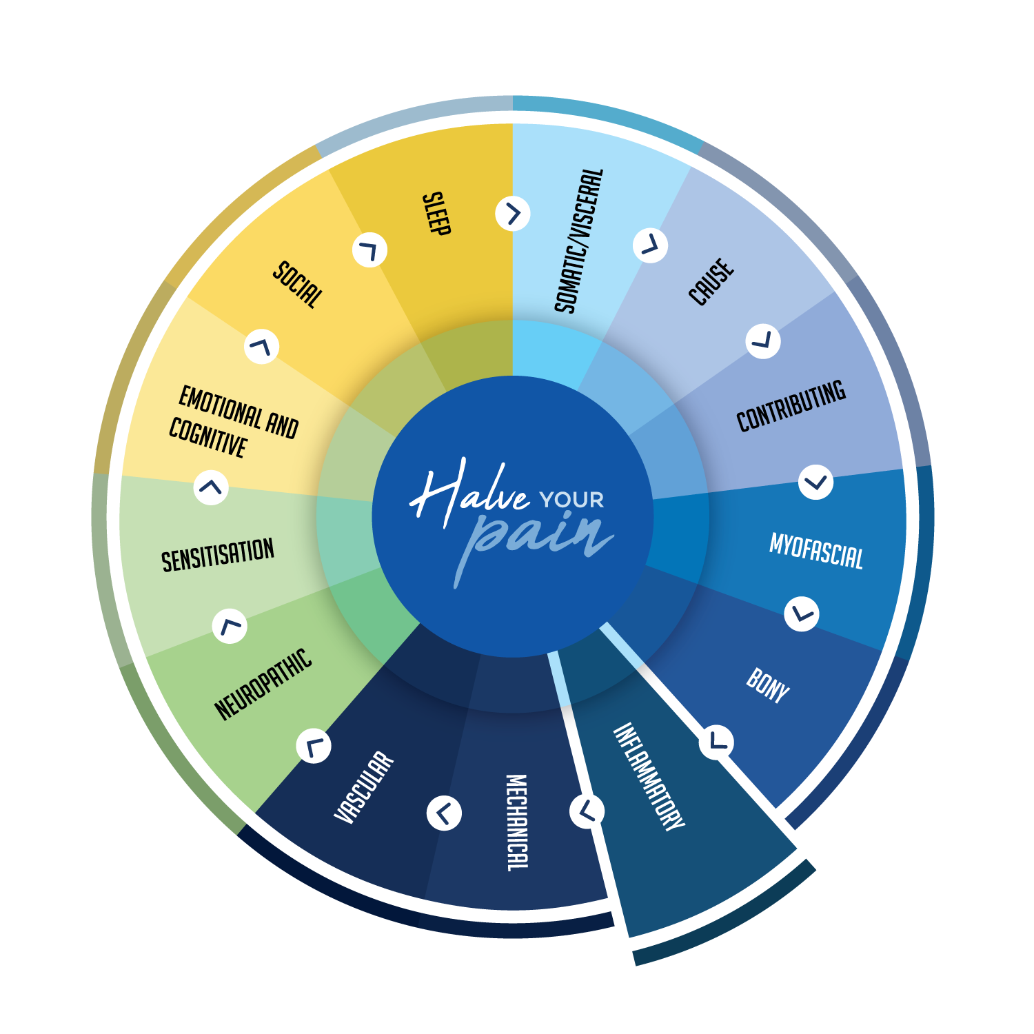 Pain Pie | Discover Pain Solutions Today — Dr. Dan Bates