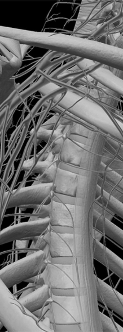 Sympathetic Nerve Block | Discover Pain Relief Today — Dr. Dan Bates