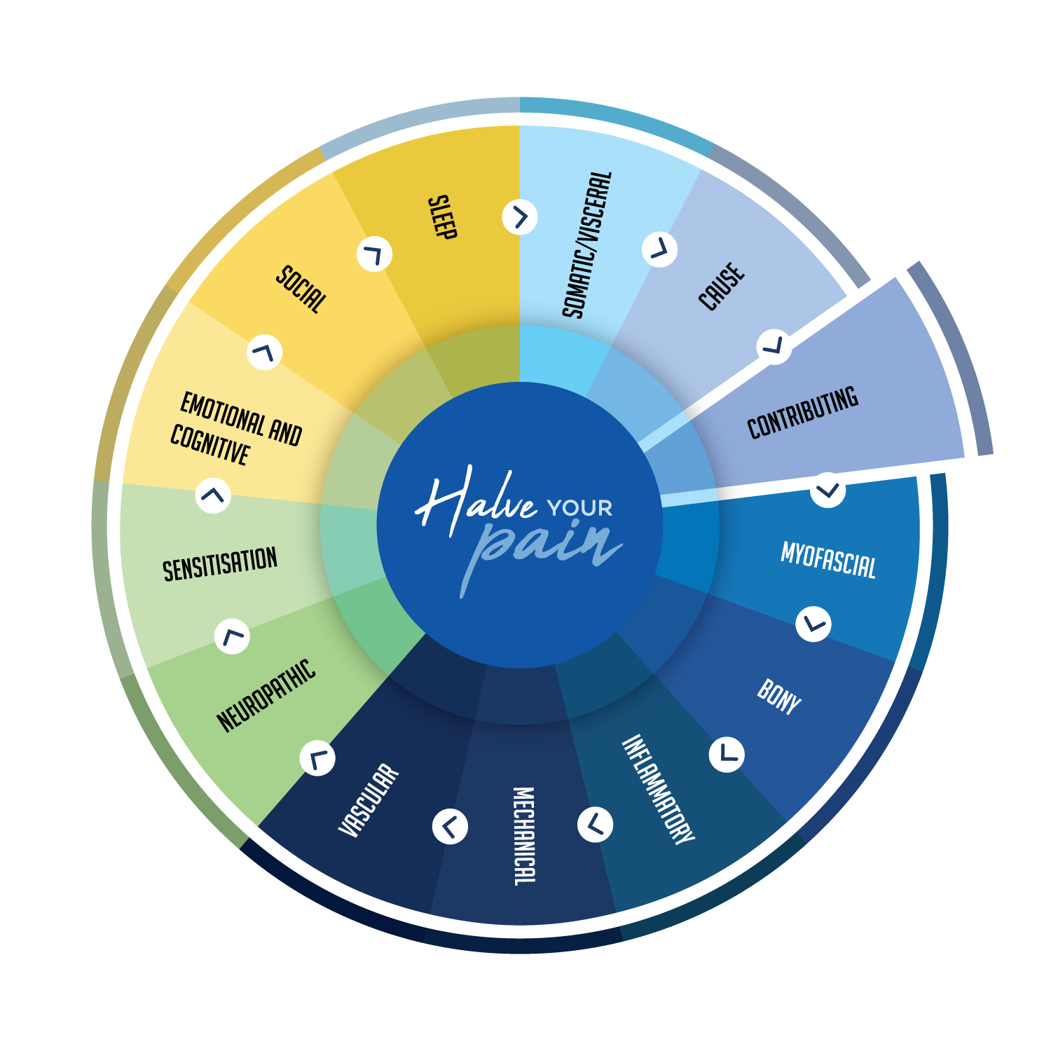 Pain Pie | Discover Pain Solutions Today — Dr. Dan Bates