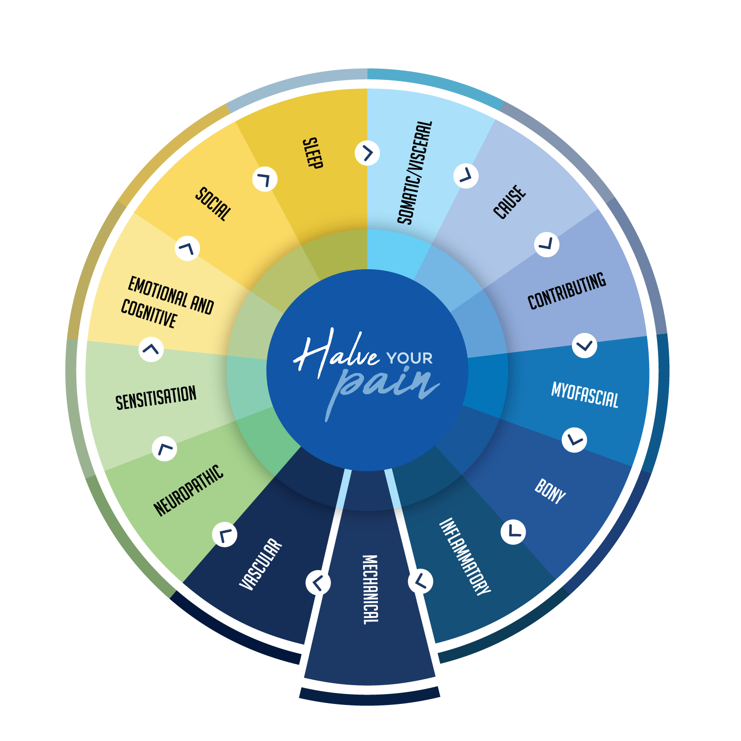 Pain Pie | Discover Pain Solutions Today — Dr. Dan Bates