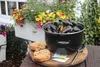 Fitzpatrick's Bar - Bar & Restaurant Carlingford
