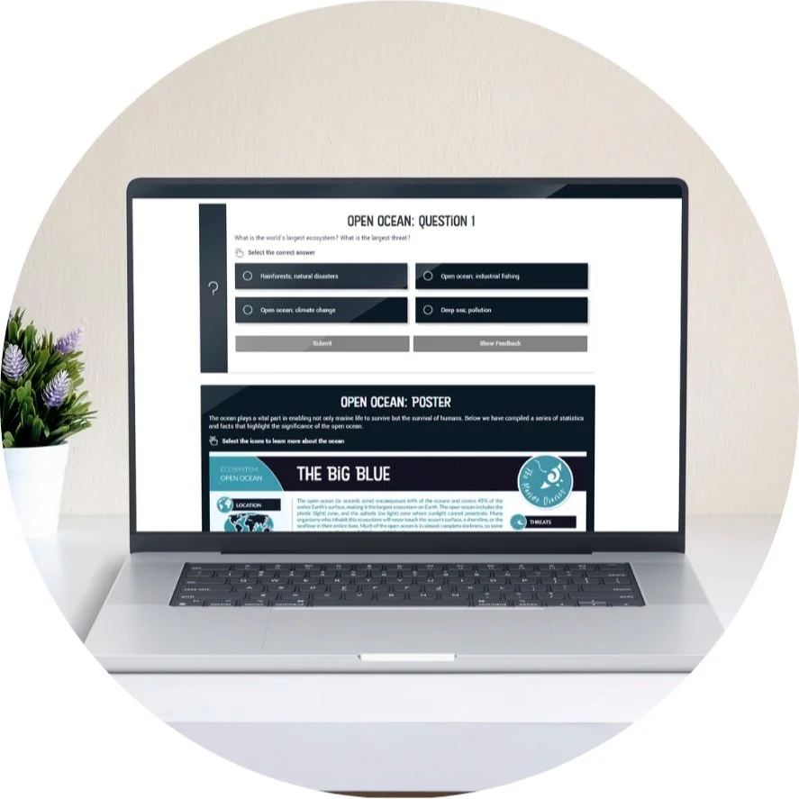 What is The Evolve Tool? [Definition & Benefits] — Mint-Interactive