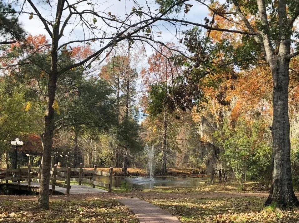 General 1 — Cy-Hope