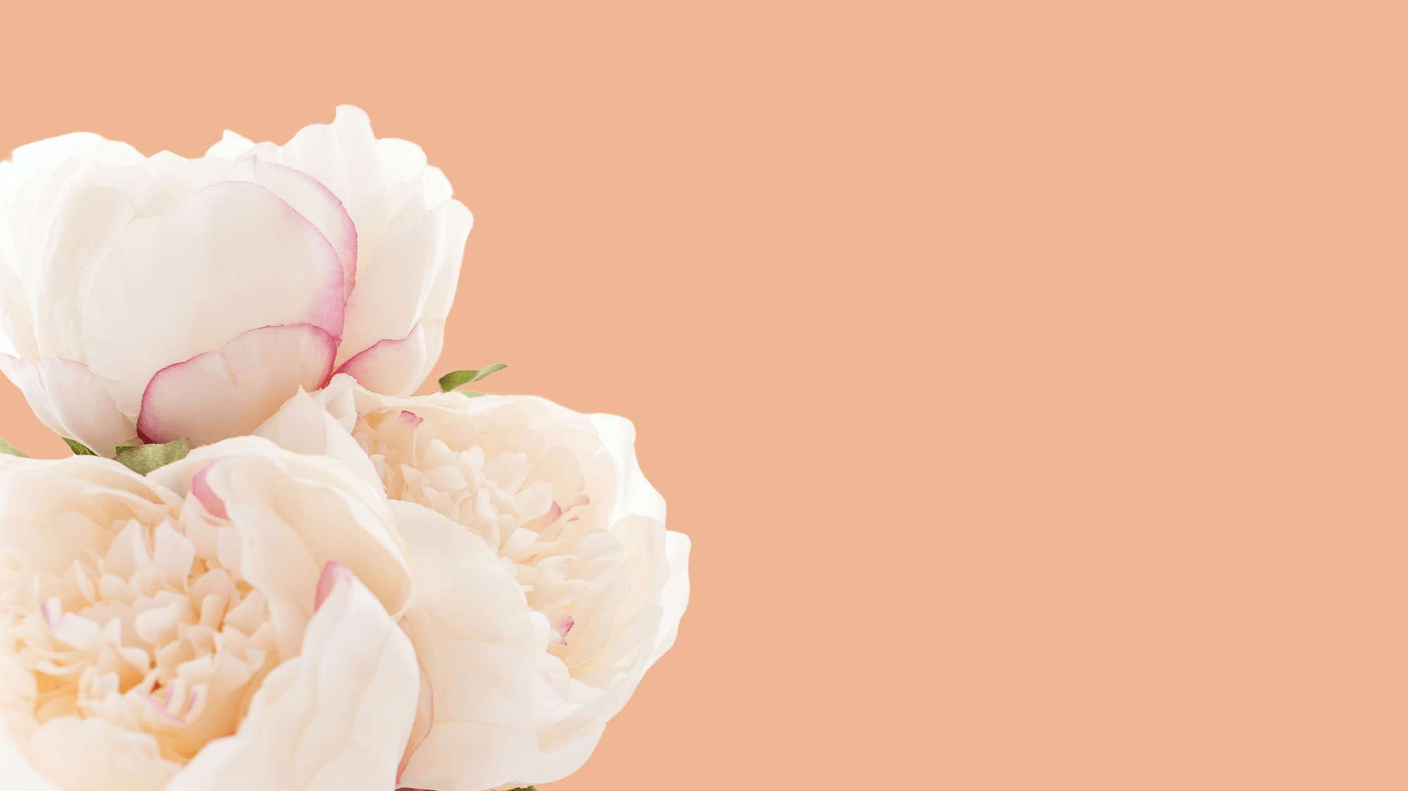 Remari Pottery and Designs