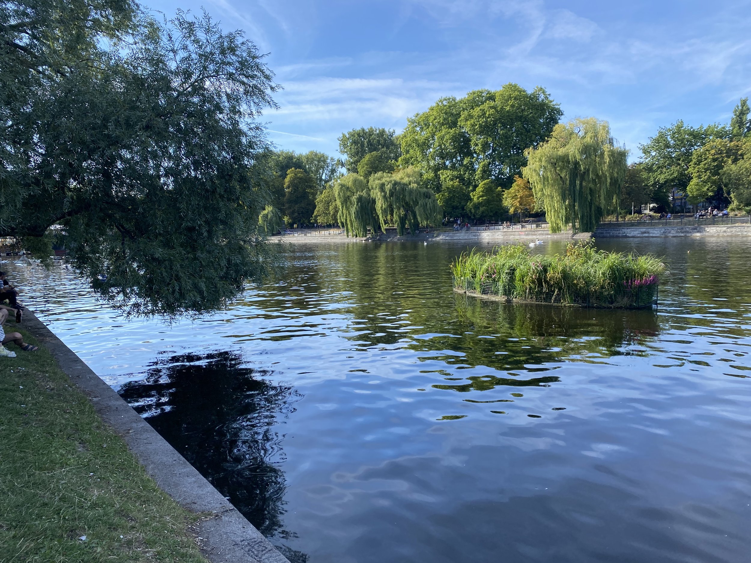 Maureen Wiley - Narrative Drive