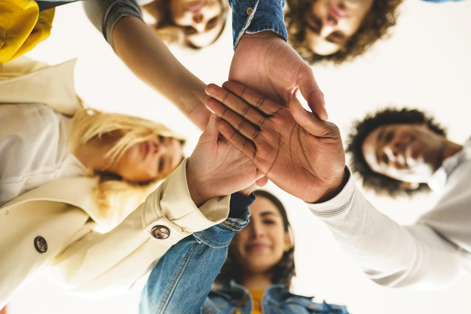 Education & Training — Collins Center