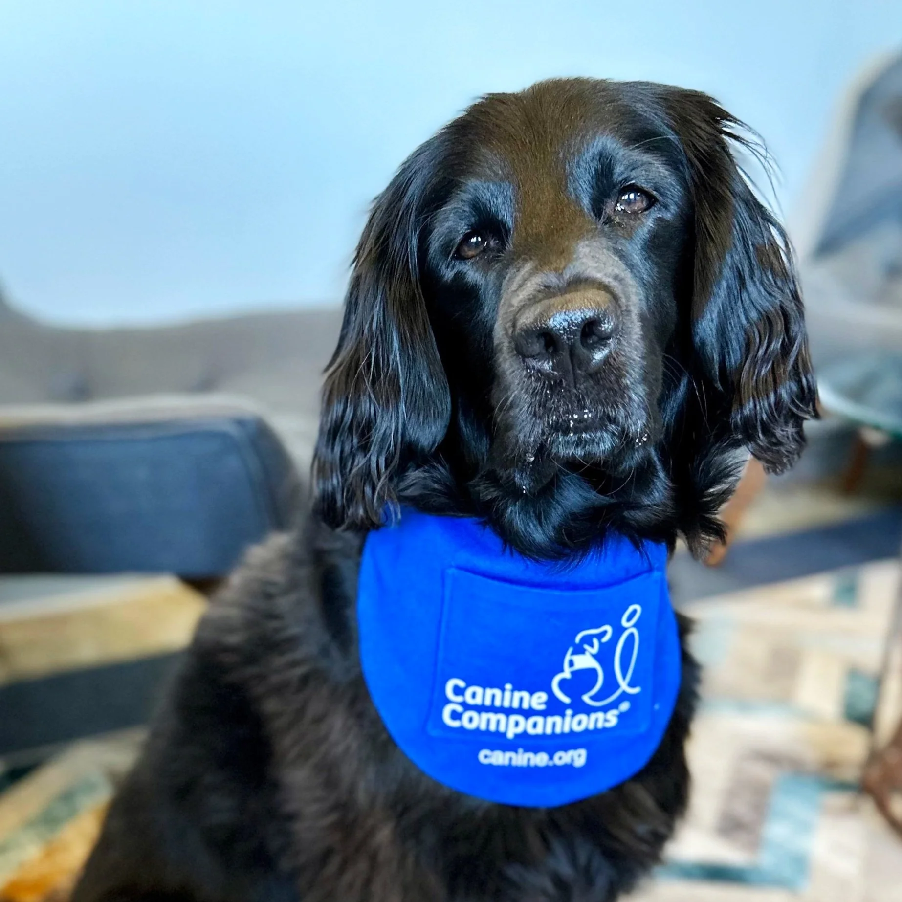 Our People — Collins Center