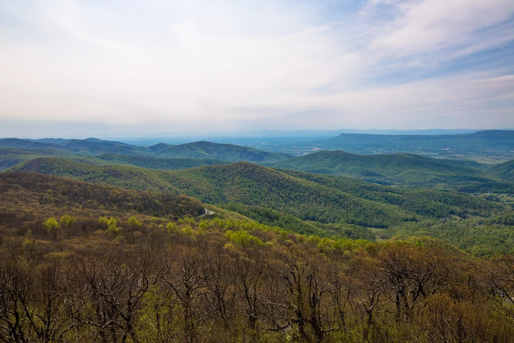 About Us — Collins Center