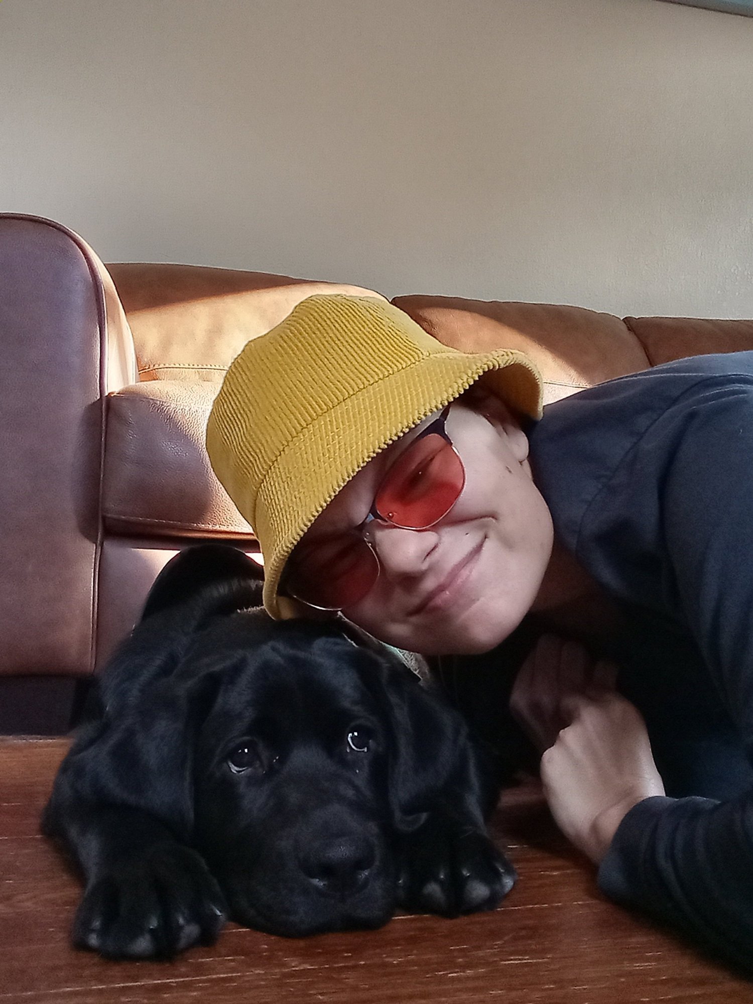 Sunrise Service Dogs