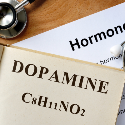 INCREASE YOUR WILLPOWER — The Gut Hormone Clinic