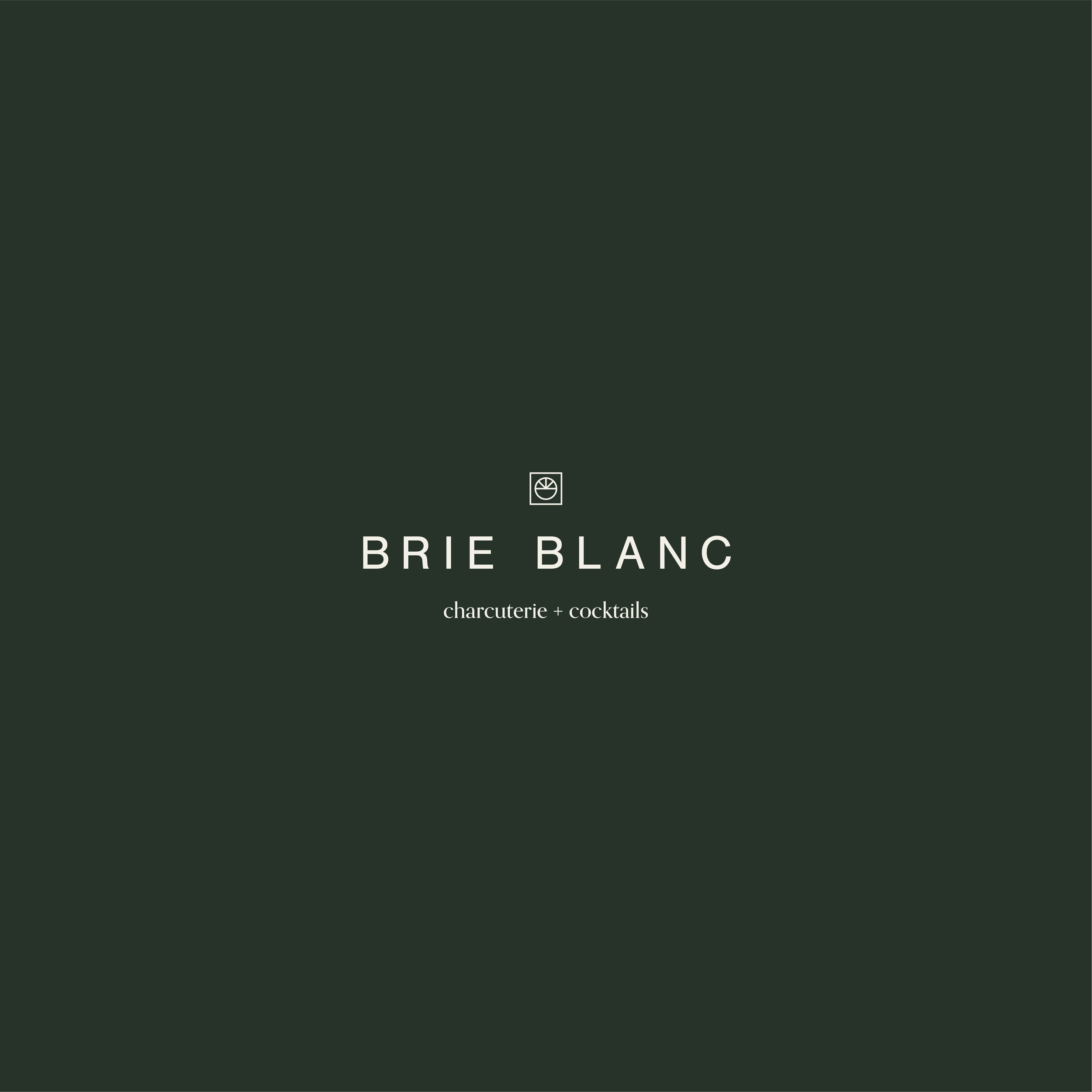 Brie Blanc | Branding & Marketing Design — Marissa Ferdman