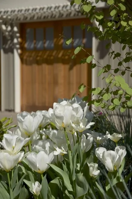 Portfolio — Wolfstone Landscape Design