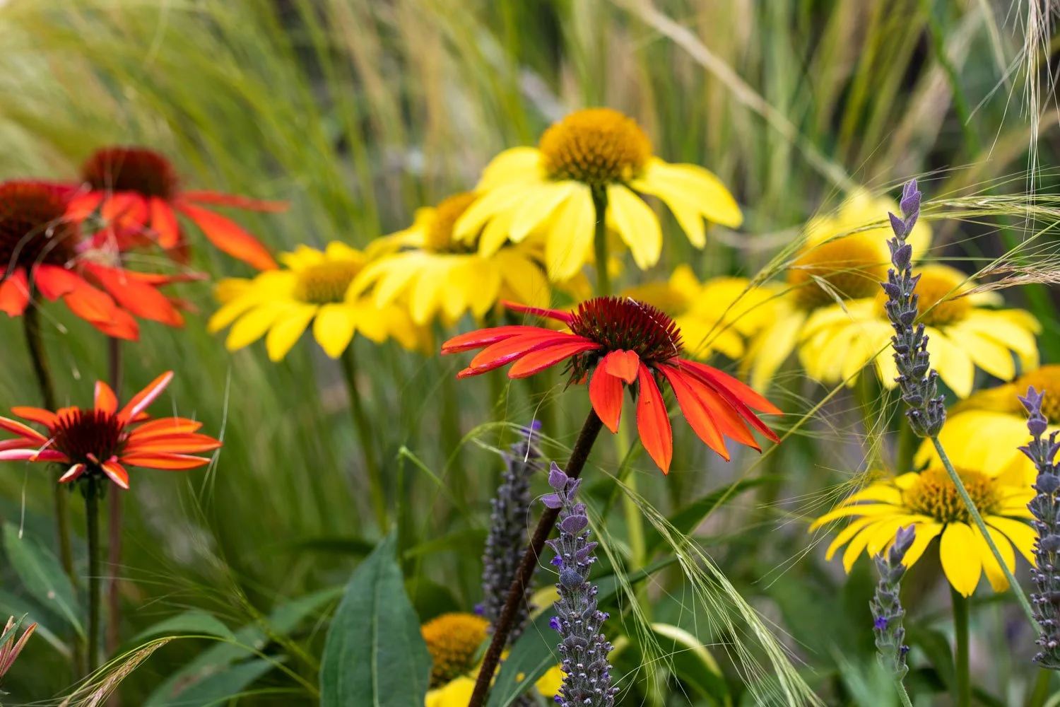 About — Wolfstone Landscape Design