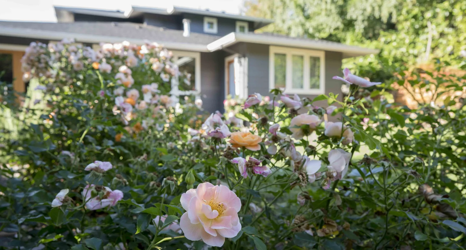 About — Wolfstone Landscape Design