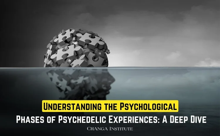 Understanding the Psychological Phases of Psychedelic Experiences ...