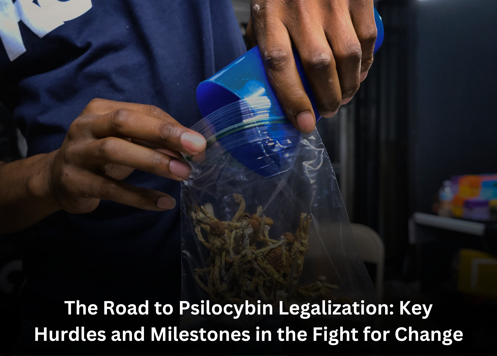 Road to Psilocybin decriminalization in the United States — CHANGA ...