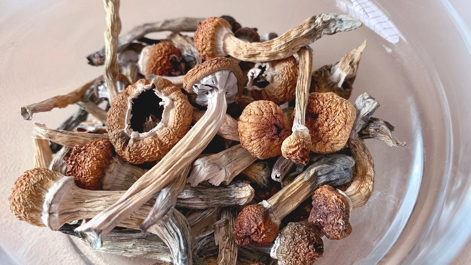 How Psilocybin Mushrooms Affect the Brain and Consciousness — CHANGA ...