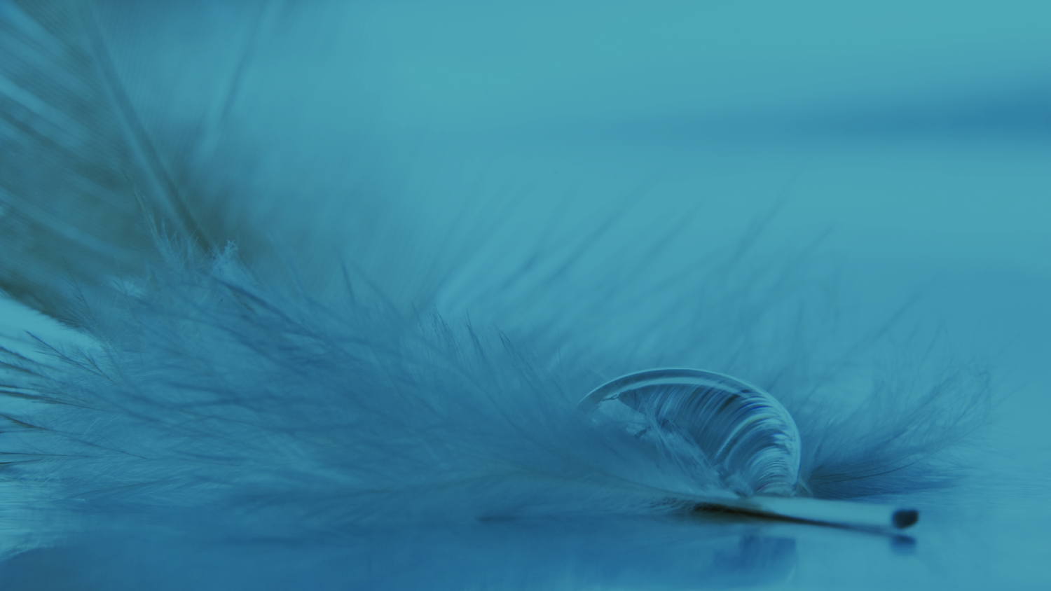 Ioanna Serpanos Blade Creative