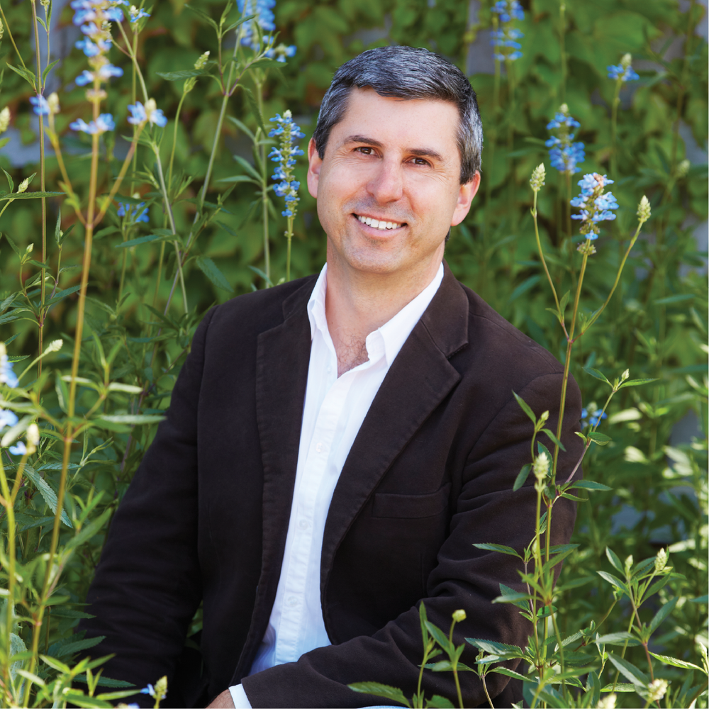 Stephen Read Landscape Design — Blade Creative