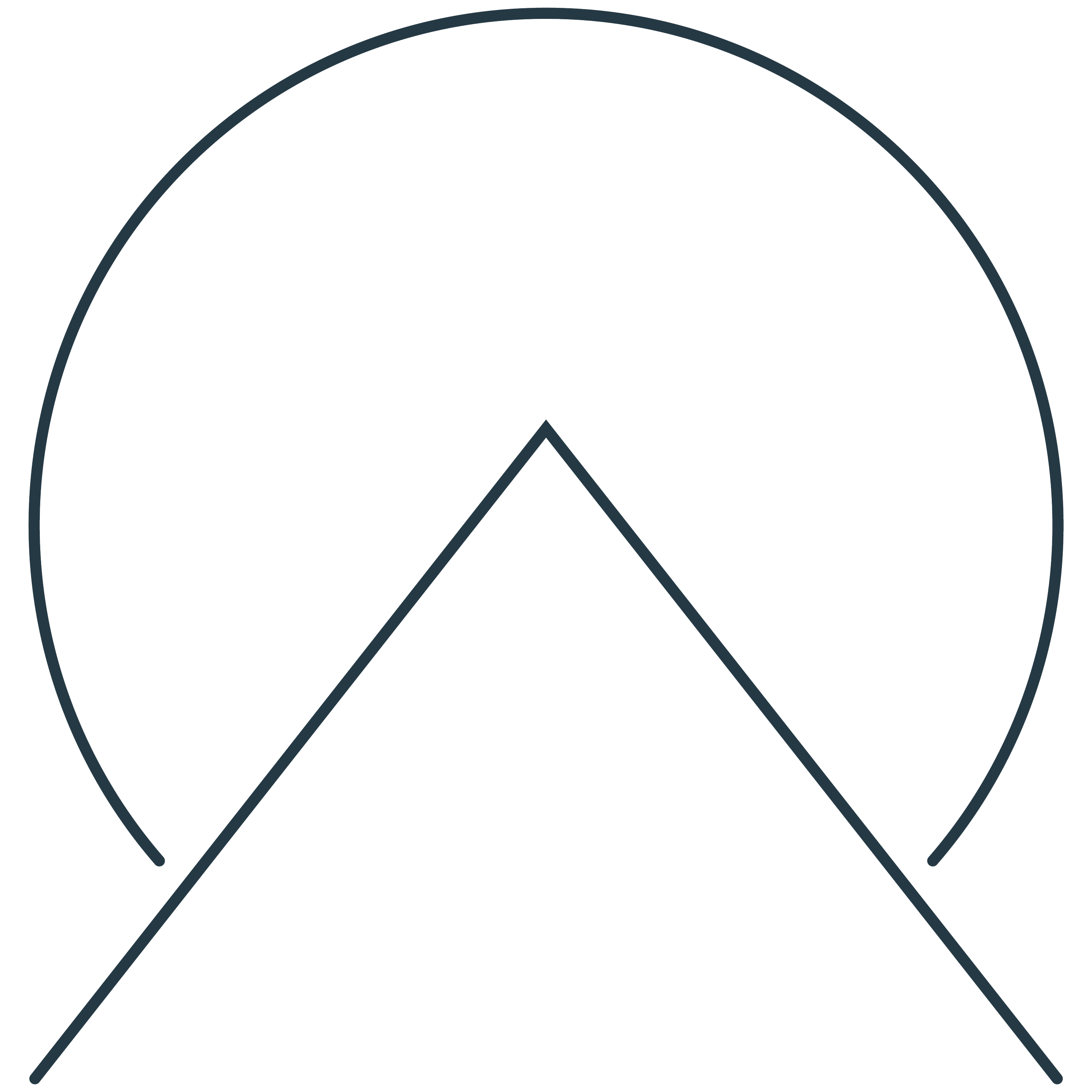 Amari Creative | Designer