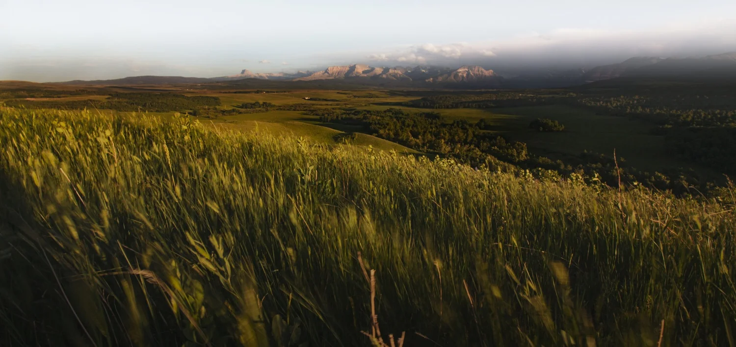 Taylor Land | Calgary | The Surface Land Advantage