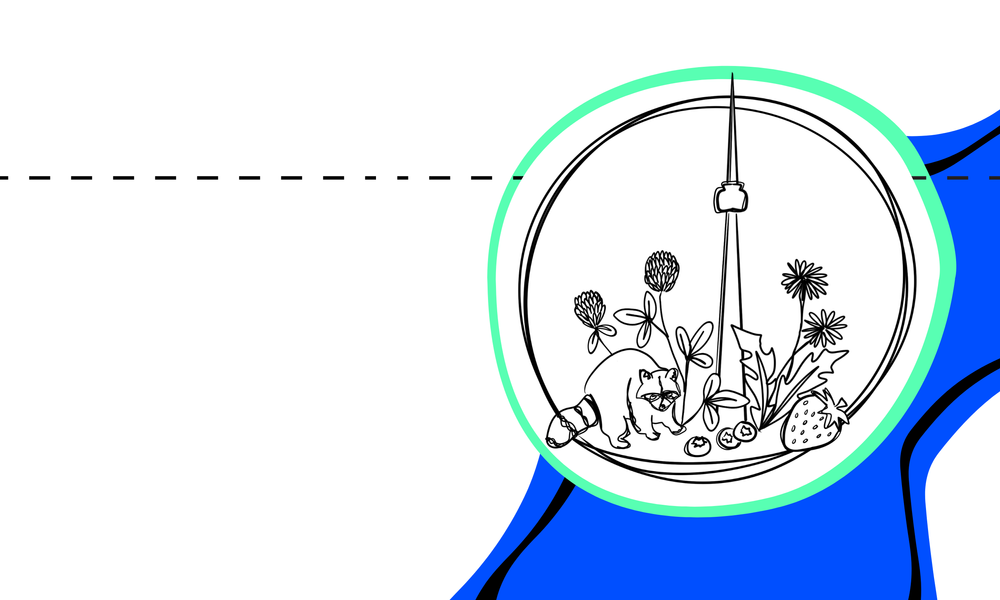 Land Education Dreambook