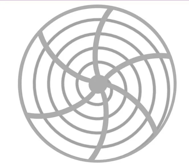 Curriculum Spiral — Land Education Dreambook