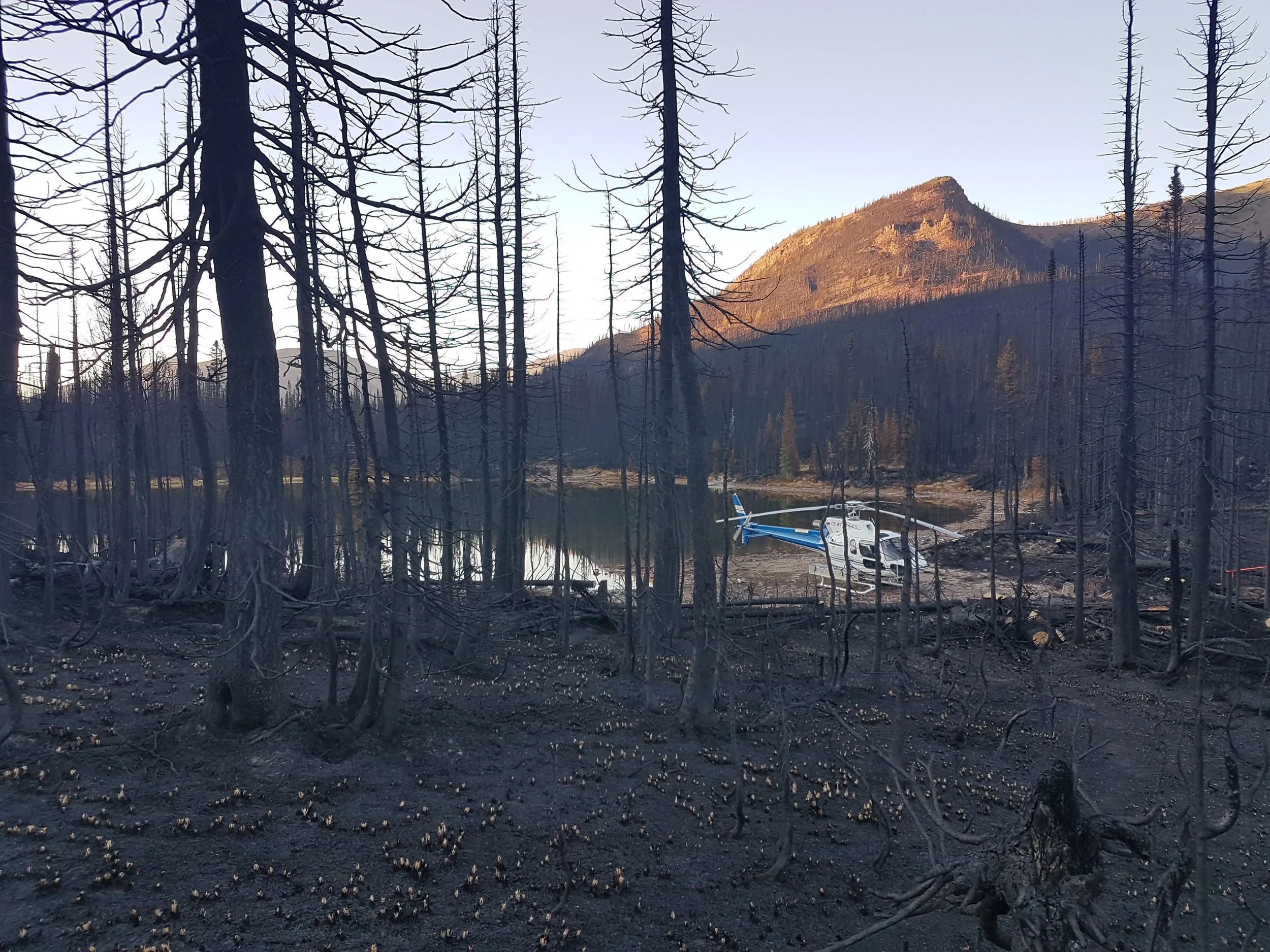 Search and Rescue — Hummingbird Drones